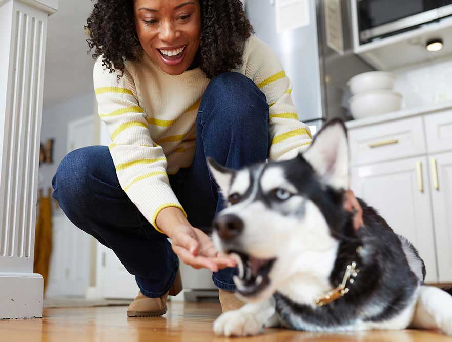 Personal Banking Solutions & Services in MA & RI - HarborOne Bank